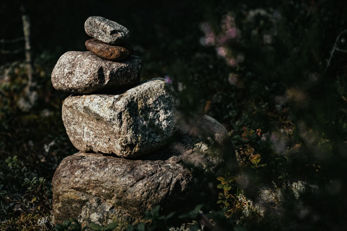 Keindahan dan Manfaat Sikumbang Batu Alam untuk Rumah Anda - Blog ...