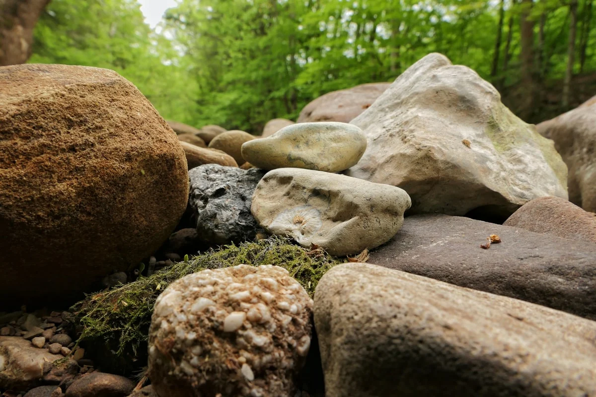 Transformasi Ruang dengan Batu Alam 3D: Estetika dan Keberlanjutan - Blog Pendidikan Akuntasi